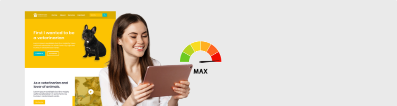 WebFix - Professional Web Solutions